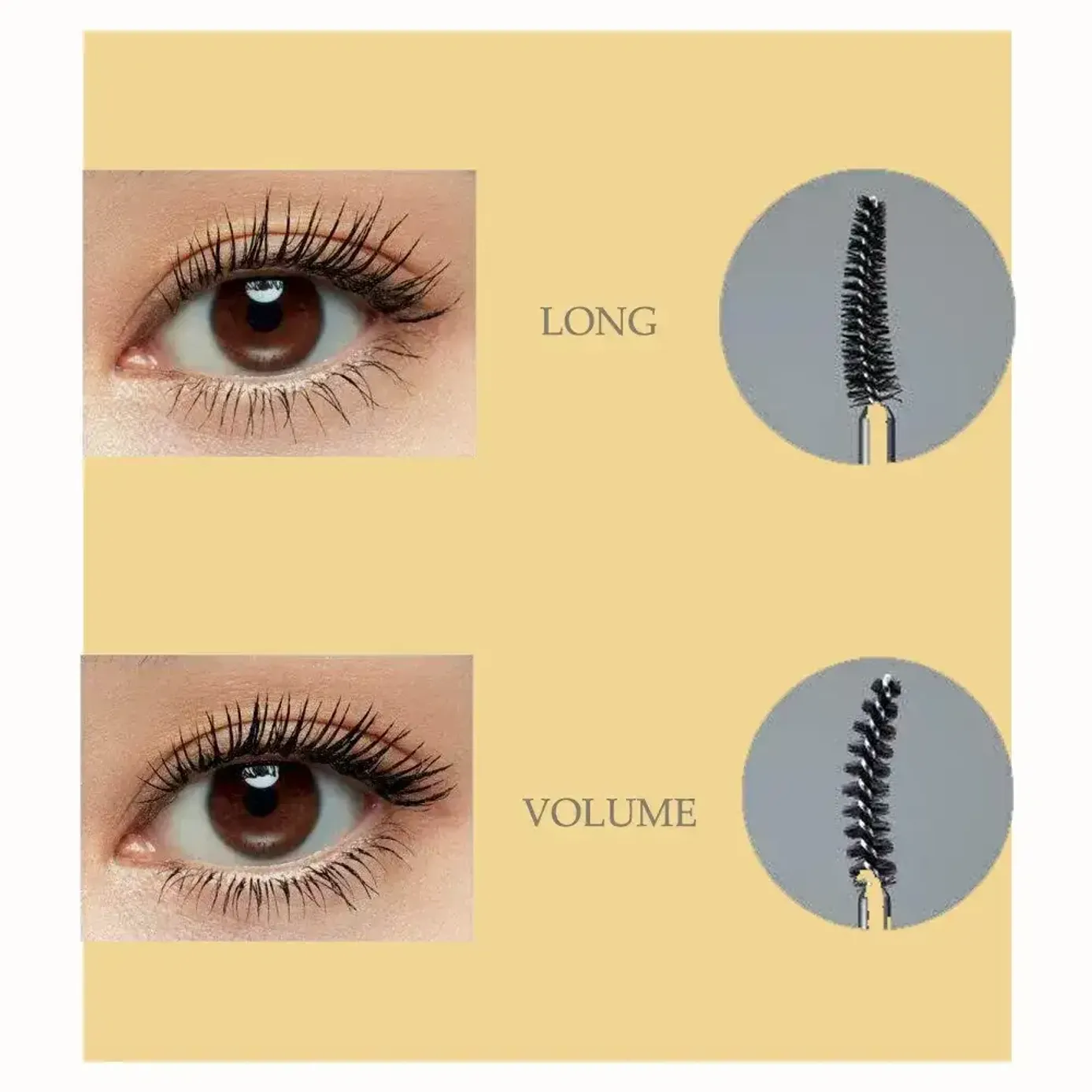 Mascara Làm Dày & Dài Mi Kate The Lash Former Bk-1 8.6G